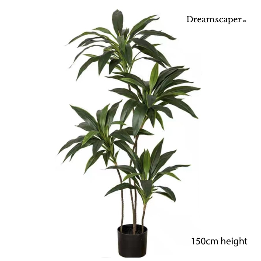 Artificial Iron Tree (Extra-Tall) | Plant Rental Dreamscaper.sg